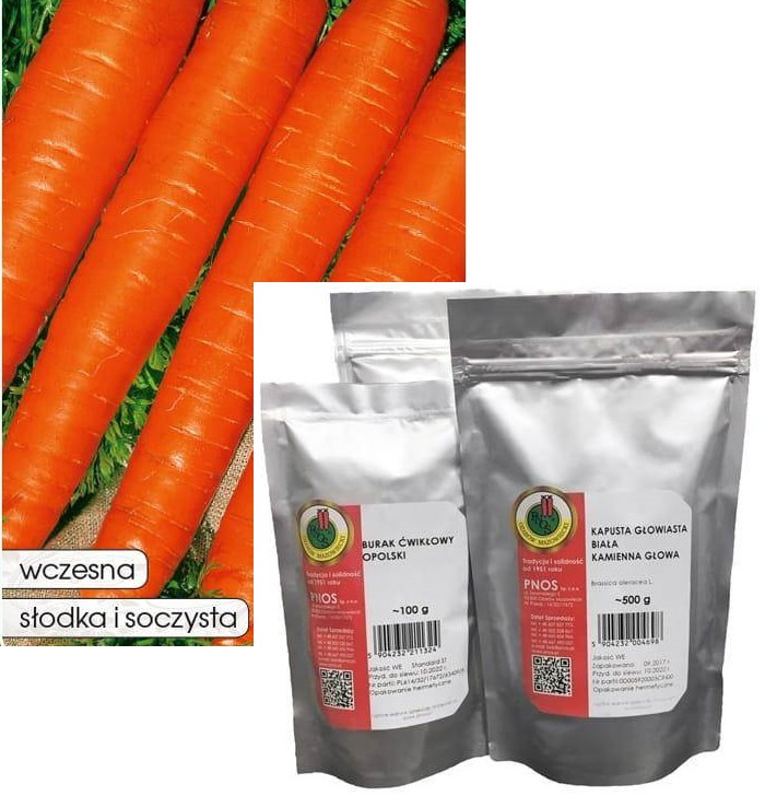 Tasty Amsterdam 2 Carrots - 50g | Daucus Carota Variety